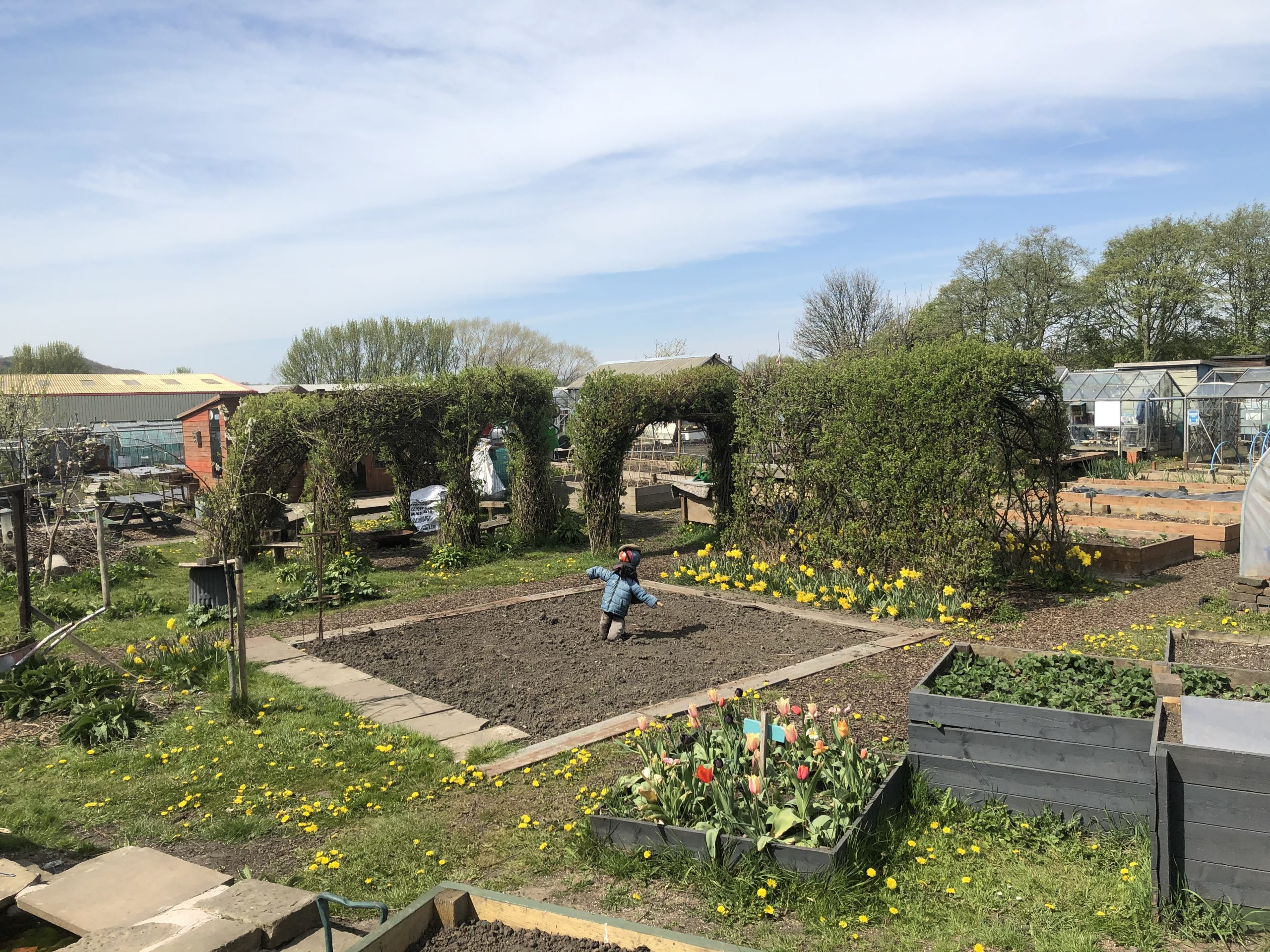 Root 'N' Fruit Community Allotment - Middleport Matters