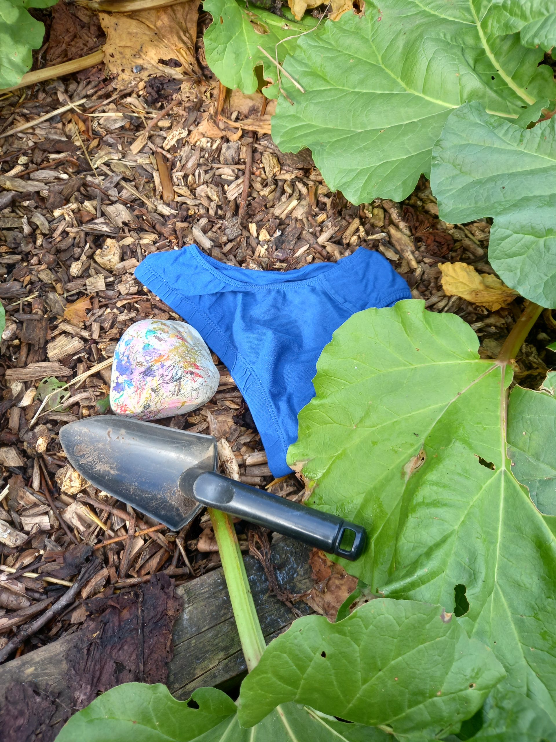 Plant your pants! - Middleport Matters