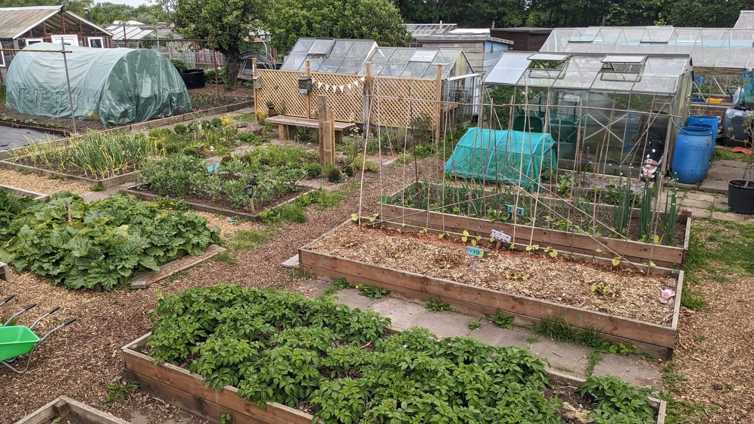 Root 'N' Fruit Community Allotment - Middleport Matters