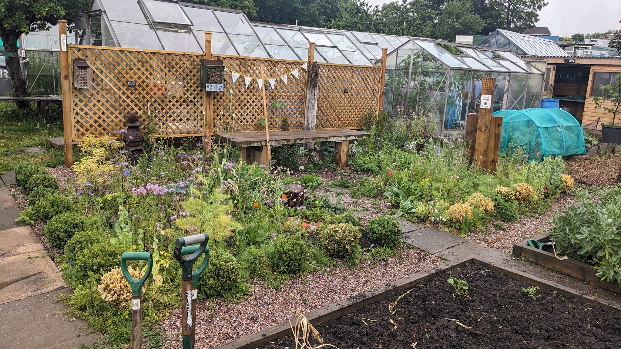 Root 'N' Fruit Community Allotment - Middleport Matters