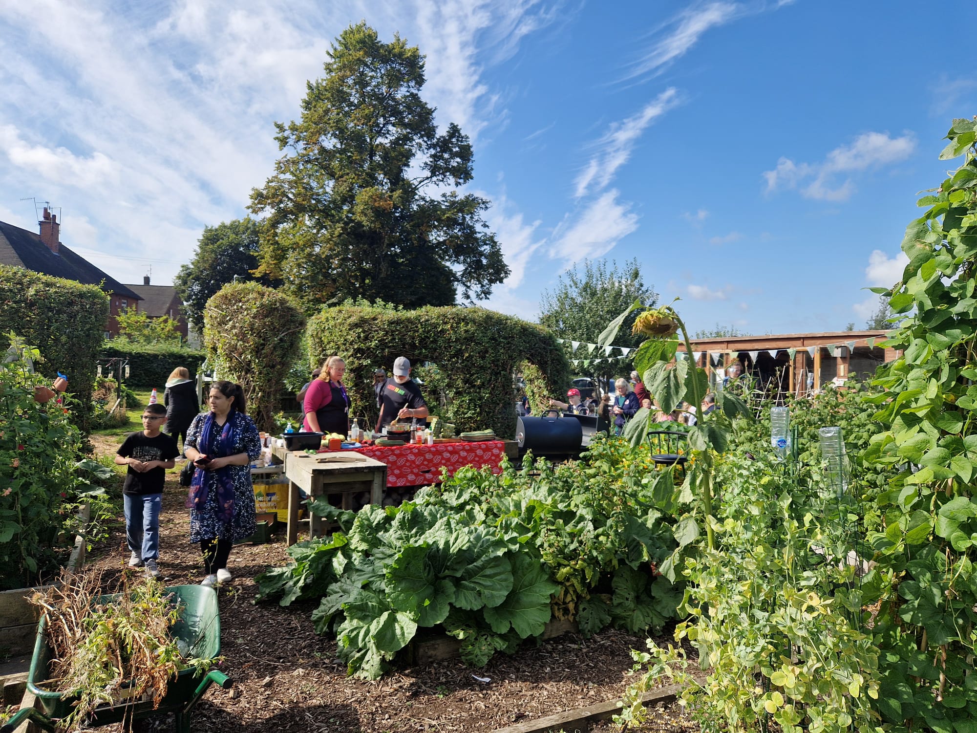 Summer Family Gardening - Middleport Matters